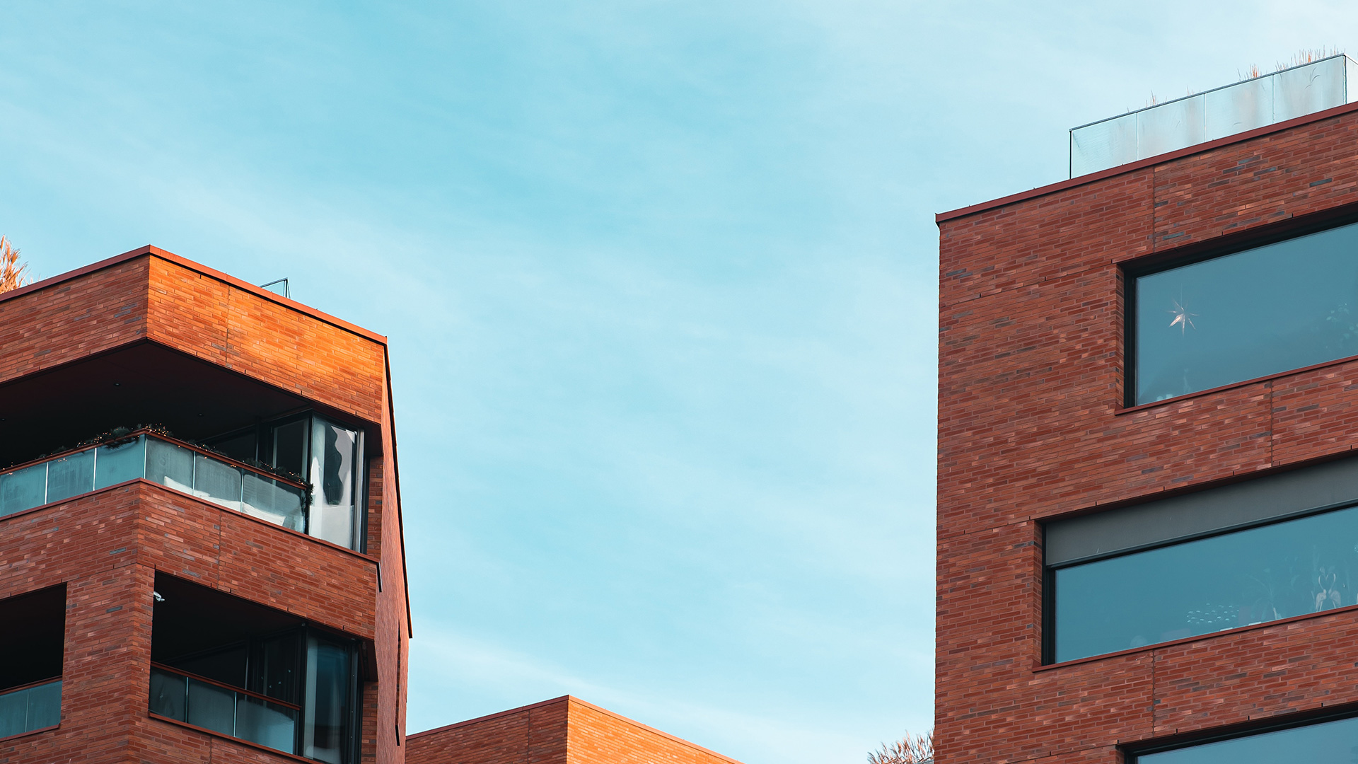 NRP Anaxo Management - NRP